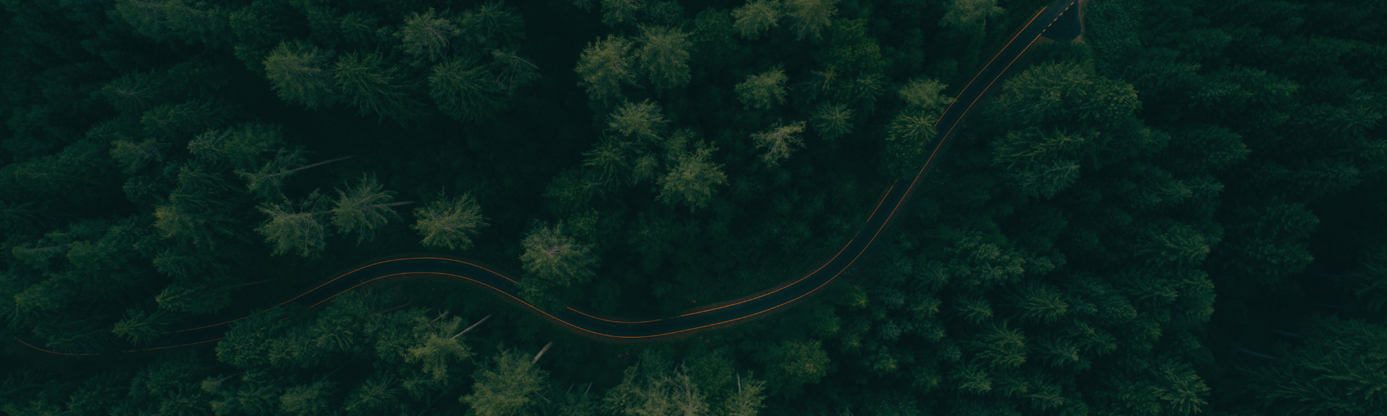 CSRD Transposition: New Obligations for French Companies