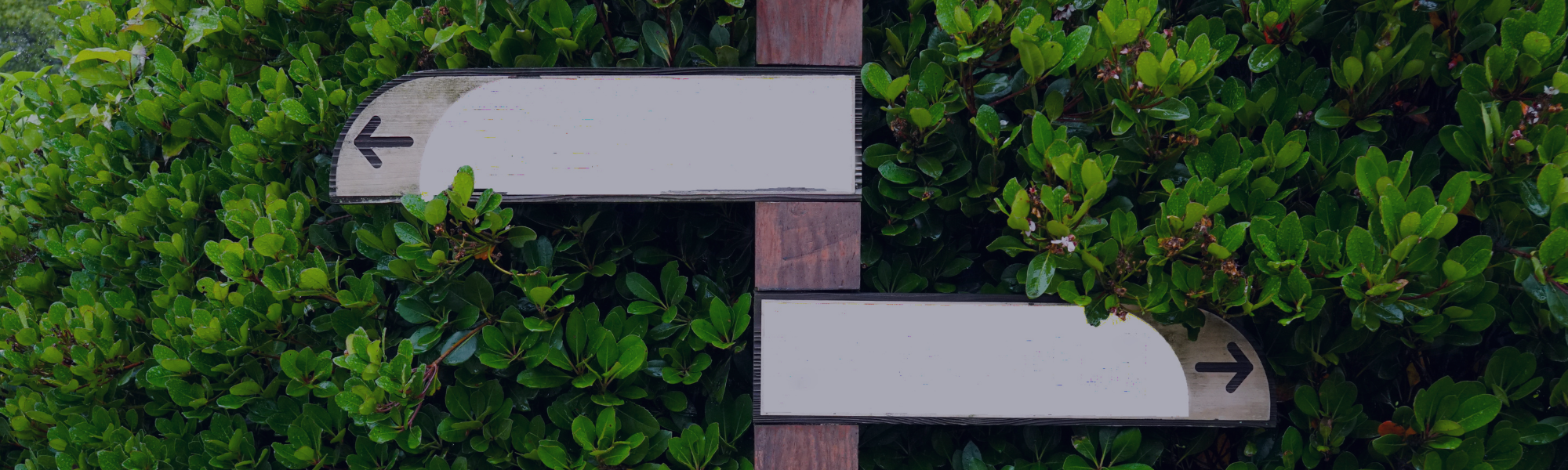 Pillar 2 & TSH: A Tax Break or a Hidden Risk?